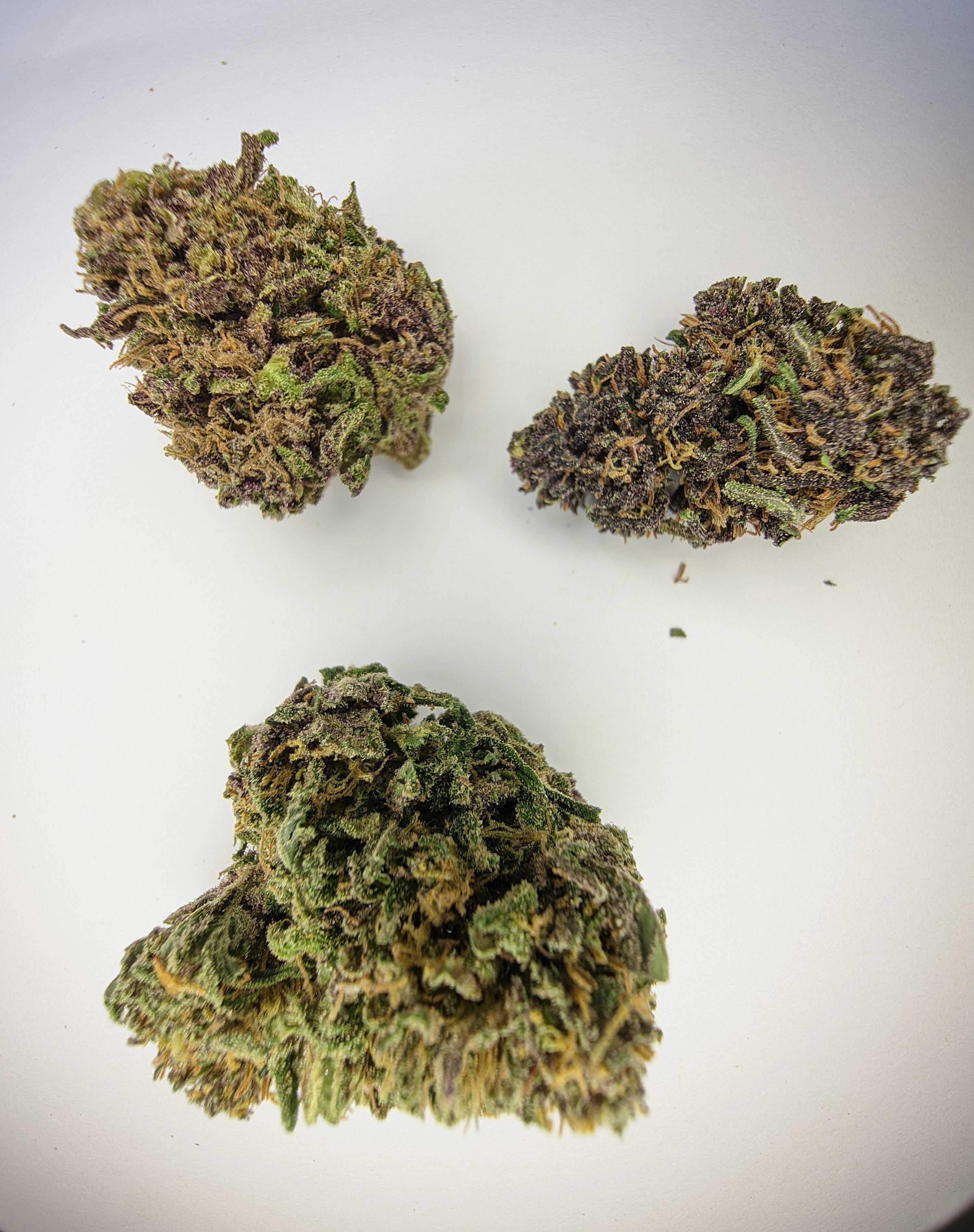 Blue Meringue | Wilted Flowers