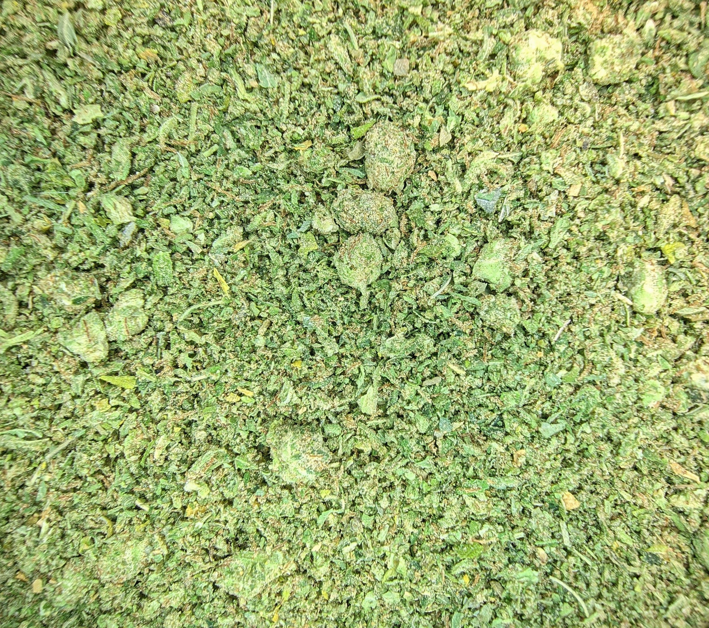 Exotic Shake and Trim | Wilted Flowers